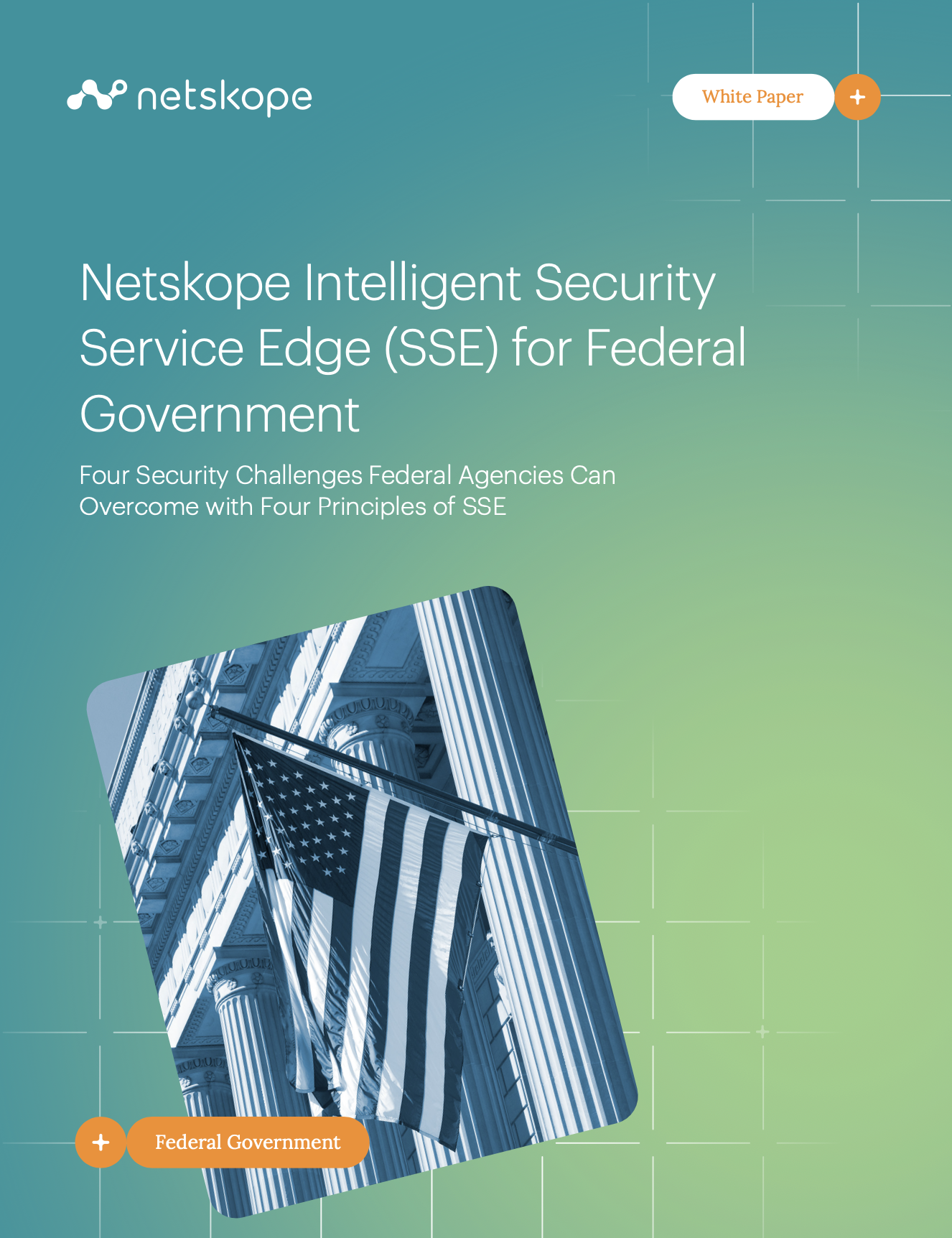 Netskope Intelligence Security Service Edge (SSE) for Federal Government