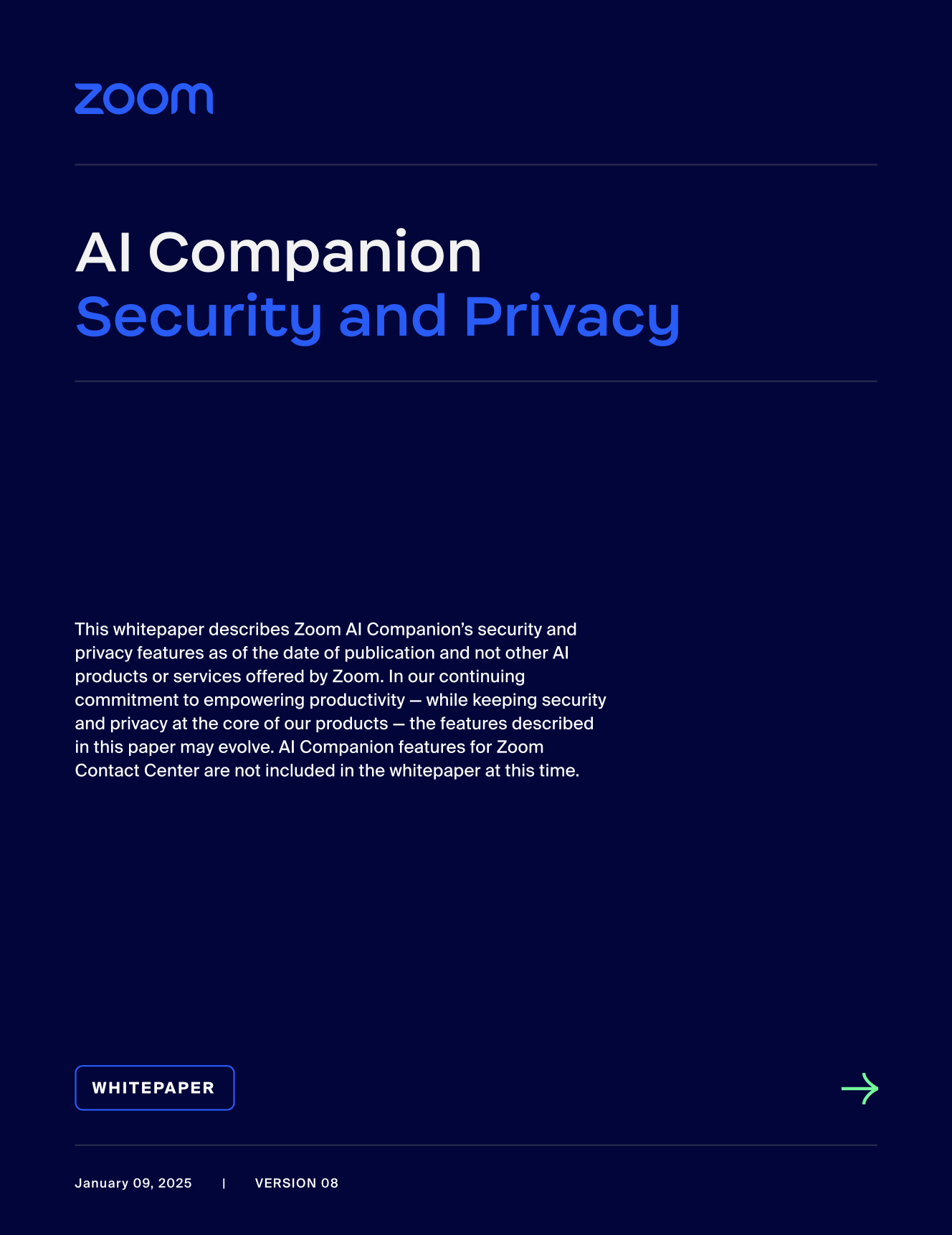 Al Companion Security and Privacy