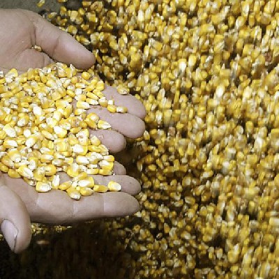 Agencies assigned role in promoting green manufacturing - Government ...