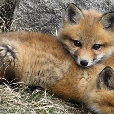 The 10 Best Government Instagram Accounts of 2015 - Government Executive