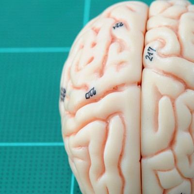 A Guide to Hacking Your Brain So It Can Remember Anything - Government ...