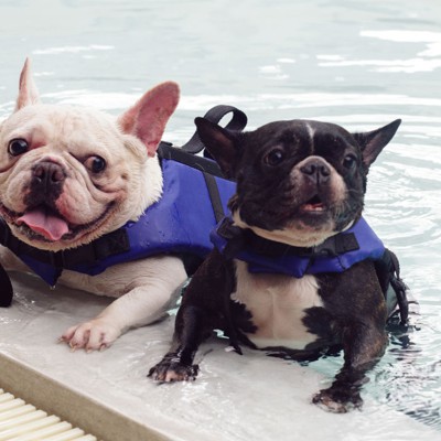 To Grow Professionally, Find a Swim Buddy - Government Executive