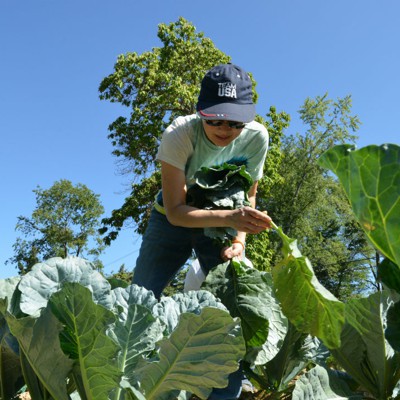 Hundreds of USDA Employees Face a Decision to Relocate or Take a Buyout ...