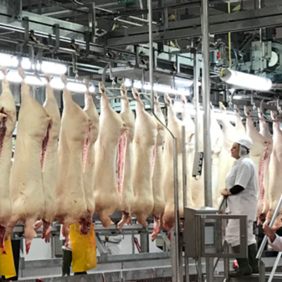 Federal Pork Inspectors Are Sounding the Alarm Over USDA’s Plan to Give ...