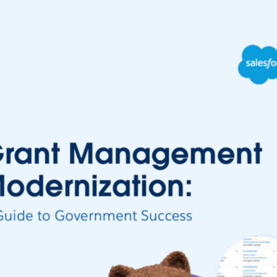 Grant Management Modernization: A Guide to Government Success ...