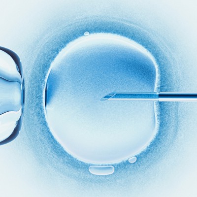 Feds Can Expect to See Improved Fertility Coverage from FEHB Plans in ...