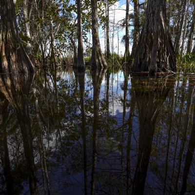 6 places where federal employees actually work in swamps - Government ...