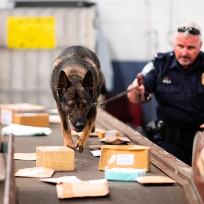 Report: DHS, USPS failing in their requirements to screen for opioids ...