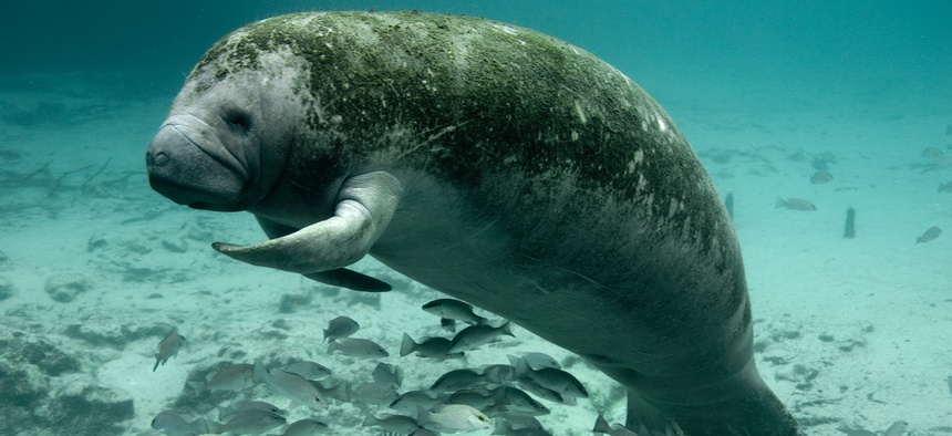 Fish and Wildlife Service to Save Money by Moving Virginia Headquarters ...