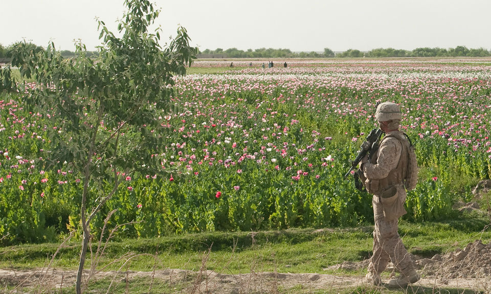 One Chart Showing Every Military Pay Raise In The Last 30 Years Pay