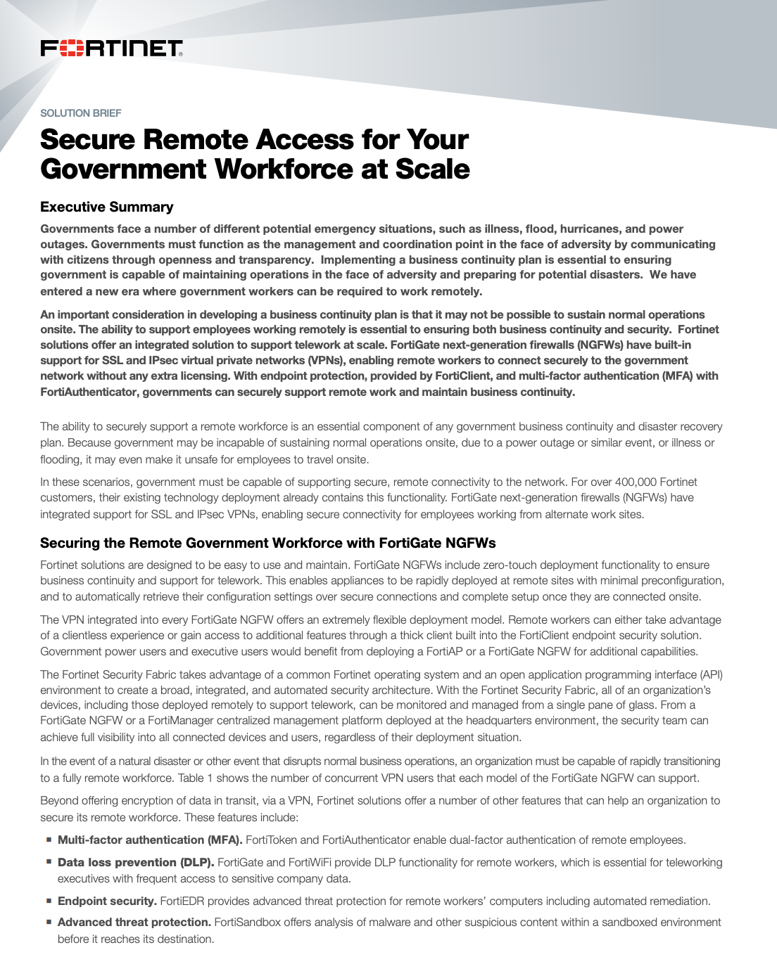 Secure Remote Access for Your Government Workforce at Scale