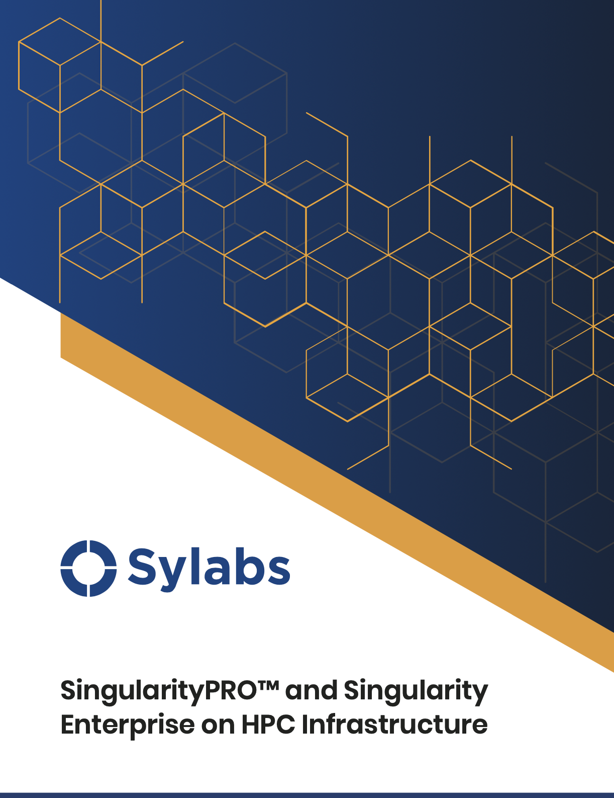SingularityPRO™ and Singularity Enterprise on HPC Infrastructure